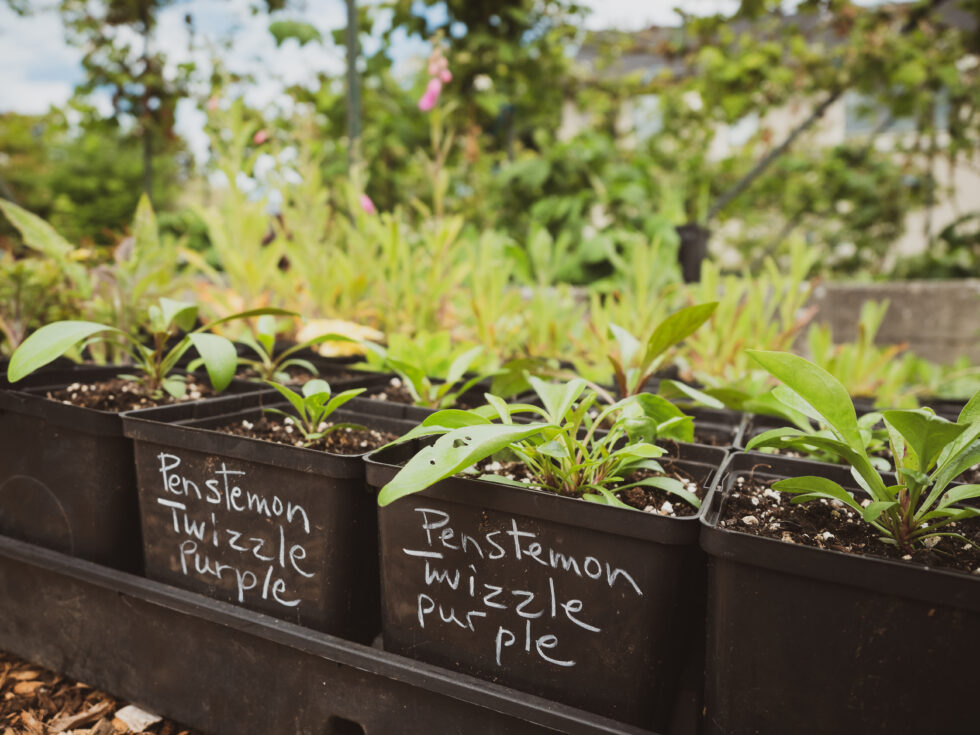 Organic vs. Synthetic Fertilizers - Farm to Garden Organics